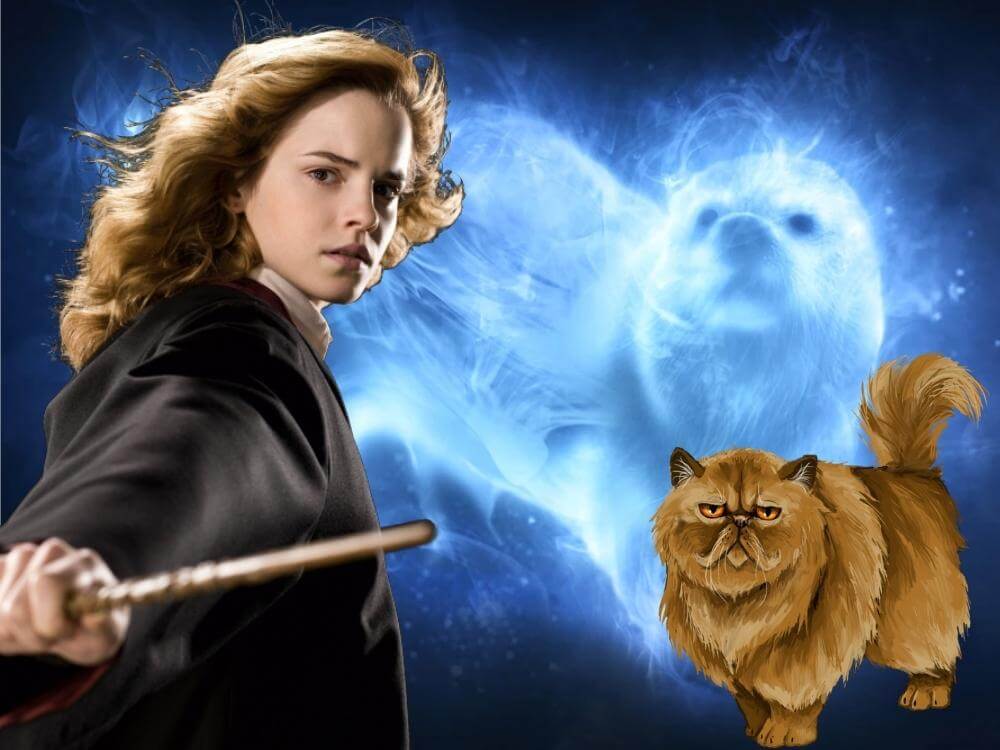 Hermione Granger Hakkında Hazırlanmış En Detaylı Bilgi Testi – Onca Şey